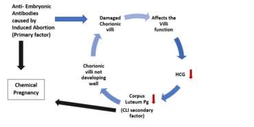 Effective Treatment for Chemical Pregnancy - Antai Hospital ...